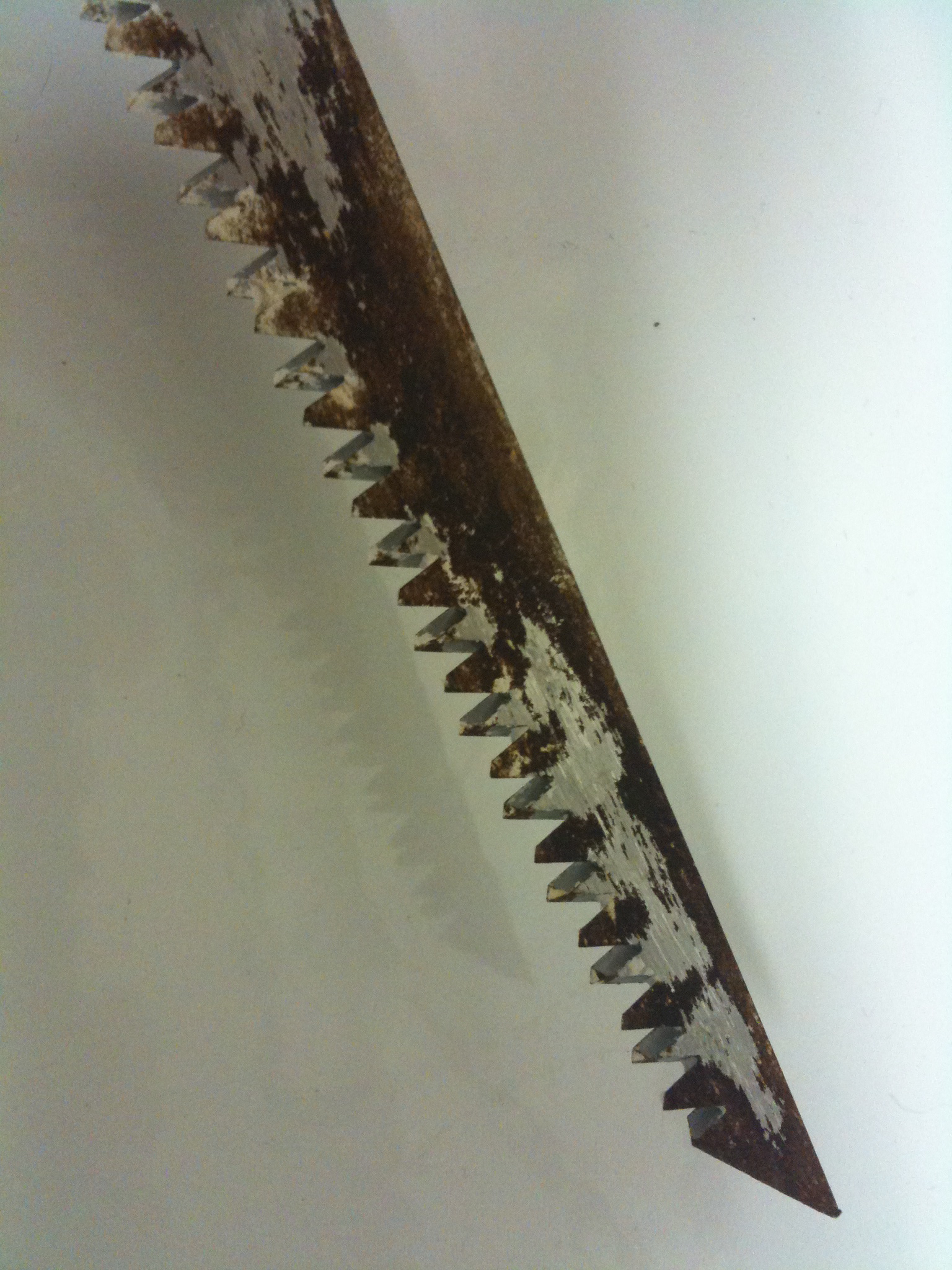 Chinese Drywall Experiment In Tampa – Custom Home Building | Tampa, Florida